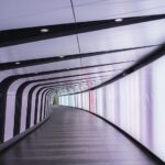 Corporate Accelerator Programs: How Corporates Innovate with Startups ...